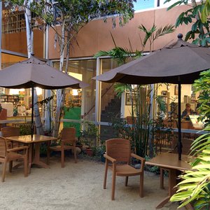 ENCINITAS LIBRARY - Updated August 2025 - 117 Photos & 125 Reviews ...