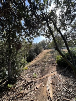 NORTH CLAIREMONT RECREATION CENTER - 69 Photos - 4421 Bannock Ave, San ...