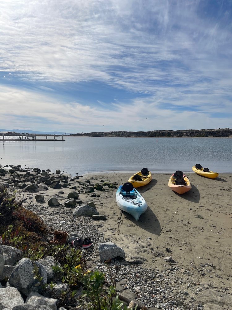 MOSS LANDING HARBOR DISTRICT - 126 Photos & 10 Reviews - 7881 Sandholdt ...