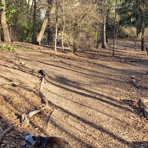 MCKOY PARK - 44 Photos & 10 Reviews - 1000 Adams St, Decatur, GA - Yelp