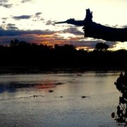 PASEO DEL BOSQUE TRAIL - 115 Photos & 25 Reviews - Hiking - Along The ...