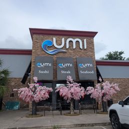 UMI SUSHI & SEAFOOD BUFFET - Updated July 2025 - 667 Photos & 323 ...