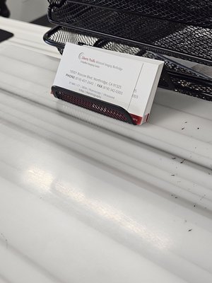 LIBERTY PACIFIC - Updated December 2025 - 24 Photos & 33 Reviews ...