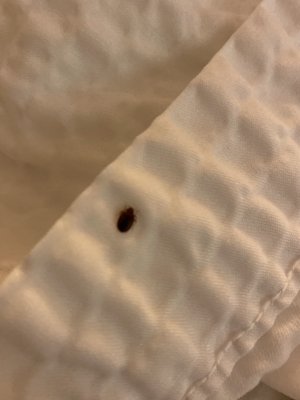 THE 10 BEST Things to Do in Mink Shoals, WV - 2023 - Yelp