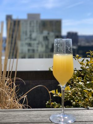 SHIRES’ ROOFTOP - 500 Photos & 212 Reviews - 309 Vine St, Cincinnati ...