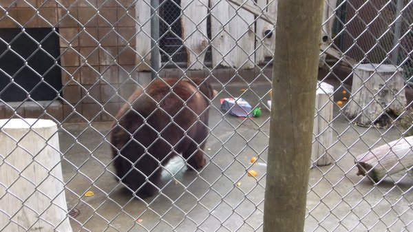 APPLEGATE PARK ZOO - 112 Photos & 48 Reviews - 1045 W 25th St, Merced ...