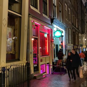 BIRD THAIS RESTAURANT - Open for Business - 227 Photos & 245 Reviews ...