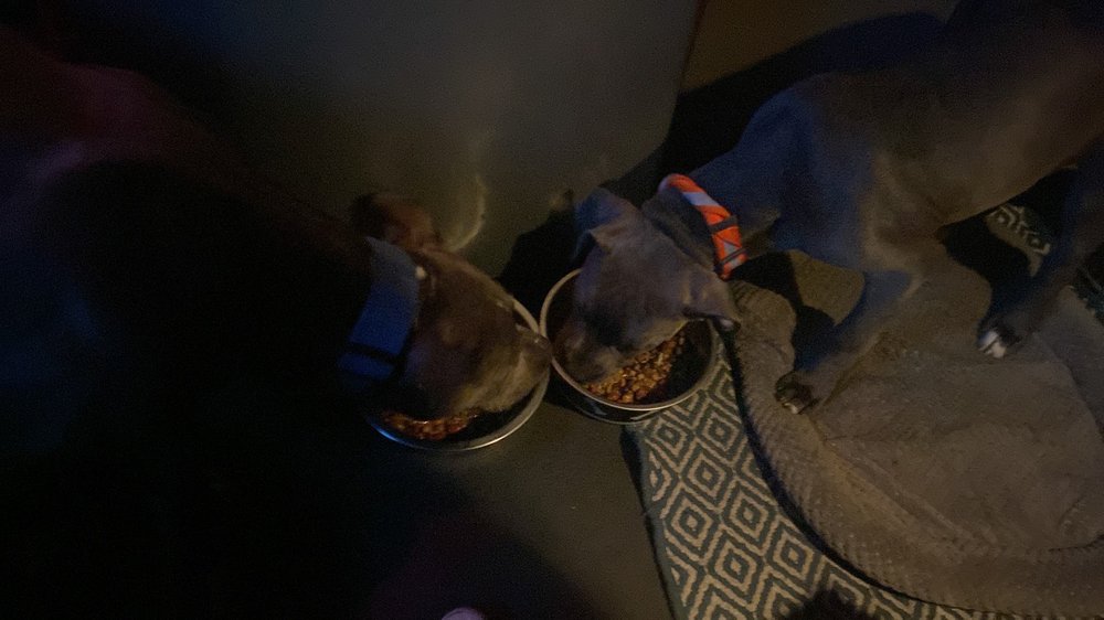 BELOIT ANIMAL HOSPITAL - Updated December 2025 - 33 Photos & 33 Reviews ...