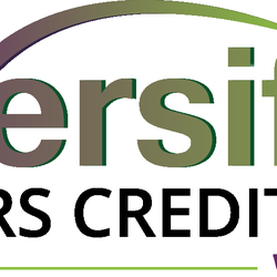 DIVERSIFIED MEMBERS CREDIT UNION - Banks & Credit Unions - 1480 E ...