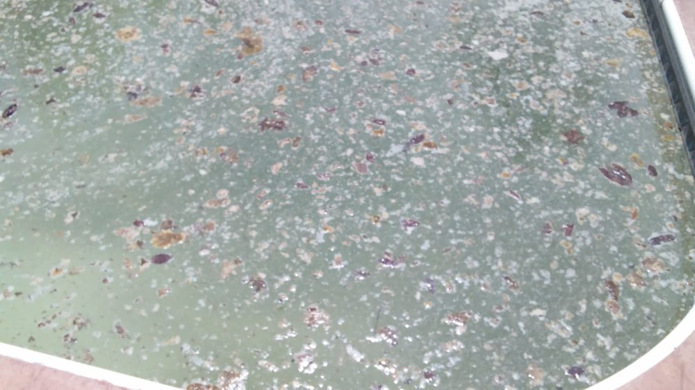 TRI-COUNTY UNLIMITED - Updated December 2025 - 2203 Conowingo Rd, Bel ...