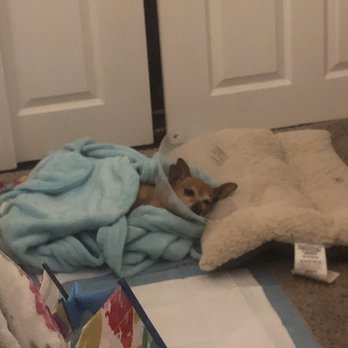 THE SAM SIMON FOUNDATION - Updated October 2025 - 22 Reviews - 30765 ...