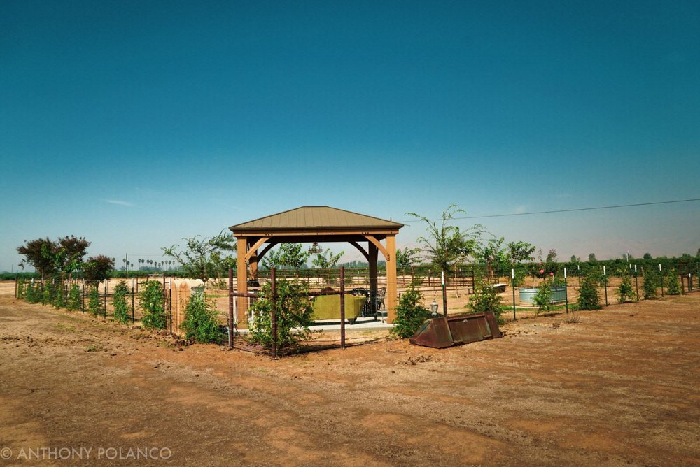 ANDALIN RANCH - Updated December 2025 - 16 Photos - 6015 Wakefield Ave ...