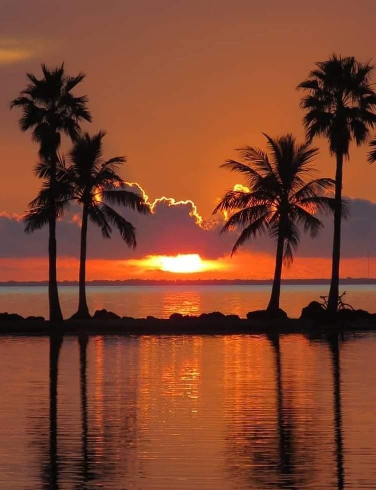 MIKE KASE - REMAX SUNSHINE - Contact Agent - 4574 Pine Island Rd NW ...