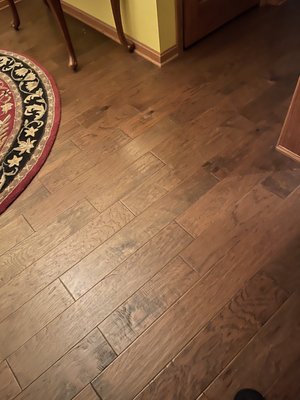 CALVETTA BROTHERS FLOOR SHOW - Updated November 2025 - 65 Photos & 39 ...