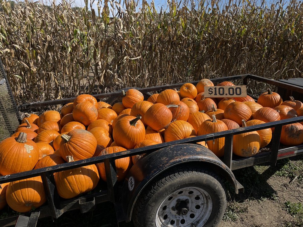 HARTLAND FARM - Updated April 2025 - 2899 Lifer Ln SW, Lancaster, Ohio ...