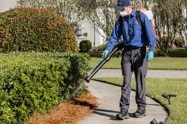 PURCOR PEST SOLUTIONS - Updated October 2025 - 35 Photos & 449 Reviews ...