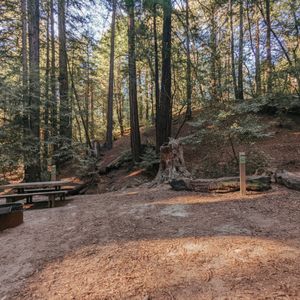 PLASKETT CREEK CAMPGROUND - 110 Photos & 83 Reviews - 69345 Ca 1, Big ...