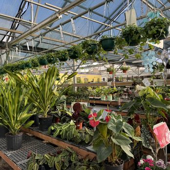 FORT COLLINS NURSERY - Updated October 2025 - 41 Photos & 33 Reviews ...