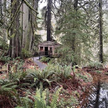 TREEHOUSE POINT - Updated December 2025 - 288 Photos & 118 Reviews ...