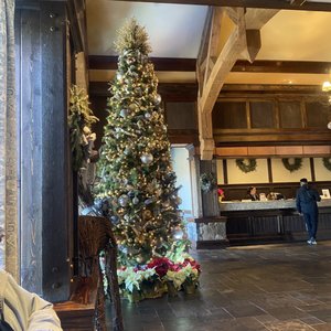 LUNA’S RESTAURANT - Updated September 2025 - 85 Photos & 155 Reviews ...