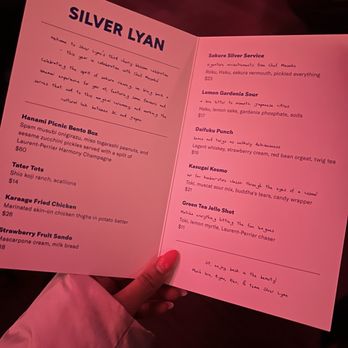 SILVER LYAN - Updated December 2024 - 443 Photos & 165 Reviews - 900 F ...