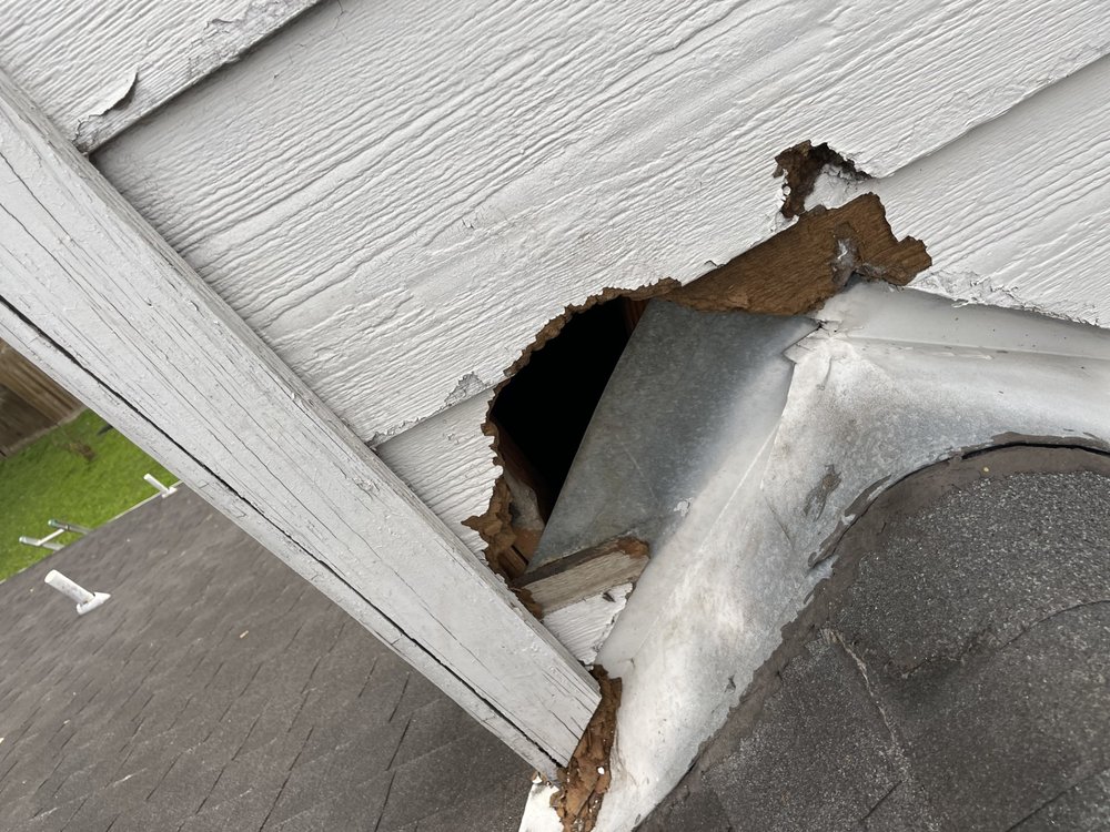 AVALANCHE TERMITE AND PEST CONTROL - Updated October 2025 - 34 Photos ...