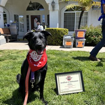 DOGGIE DO GOOD - 116 Photos & 86 Reviews - 335 Summit Station Rd ...