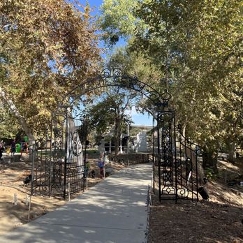 CALM ZOO - Updated July 2025 - 494 Photos & 164 Reviews - 10500 Alfred ...