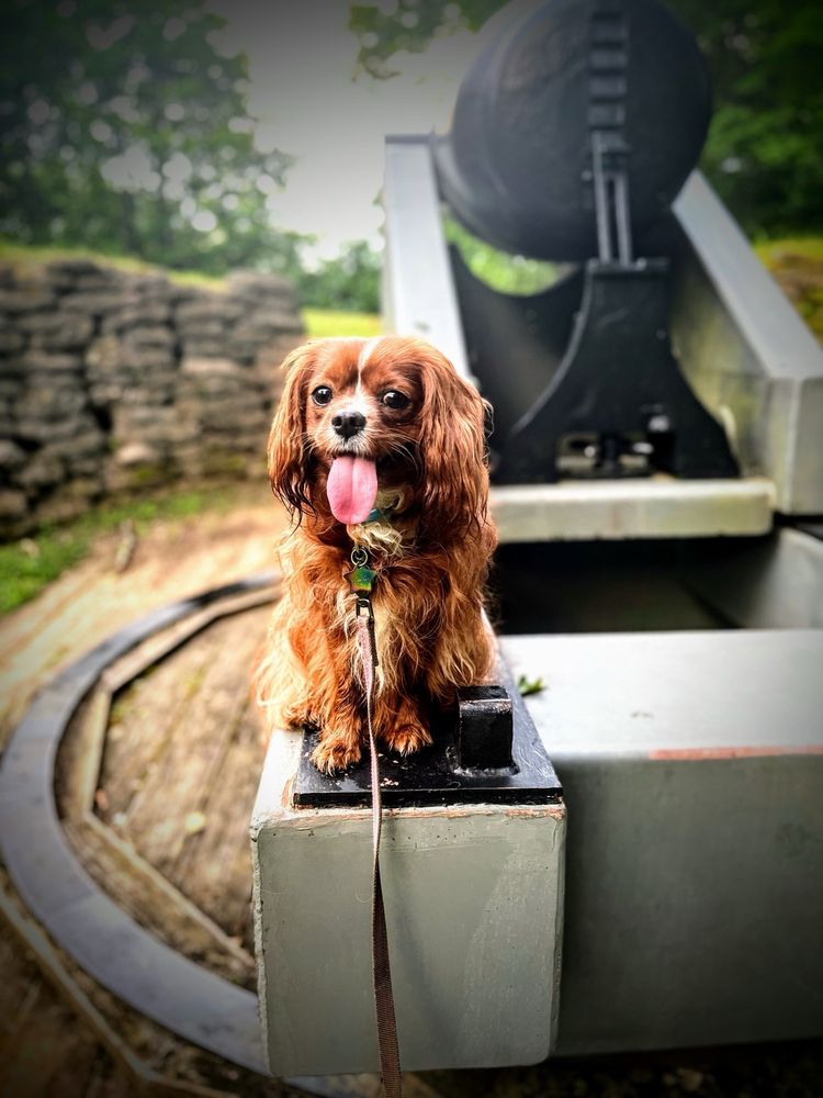 DREWRY’S BLUFF/FORT DARLING BATTLEFIELD - Updated August 2025 - 36 ...