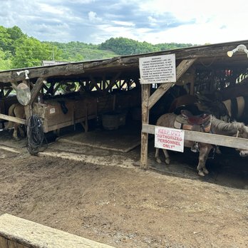 JAYELL RANCH - Updated October 2025 - 381 Photos & 359 Reviews - 1131 ...