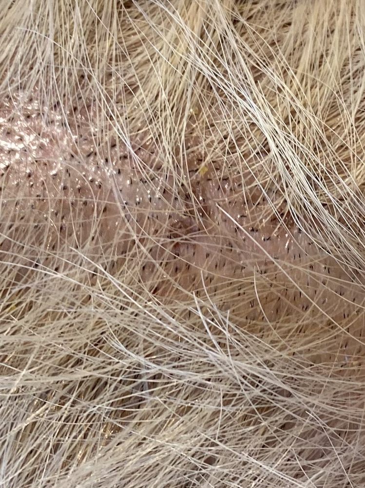 BISHOPS CUTS/COLOR - Updated July 2025 - 63 Photos & 44 Reviews - 3003 ...