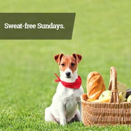 Lawn Love Reviews | Read Customer Service Reviews of lawnlove.com