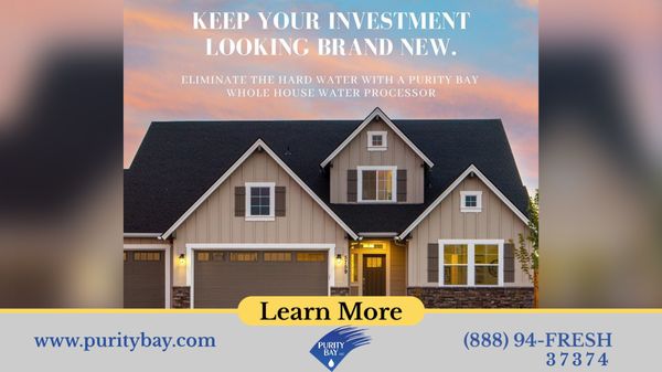 PURITY BAY - Updated January 2025 - 157 Photos - 8213 Ulmerton Rd, Largo, Florida - Water ...