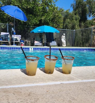 OLIVE DELL RANCH - Updated January 2026 - 11 Photos & 40 Reviews ...