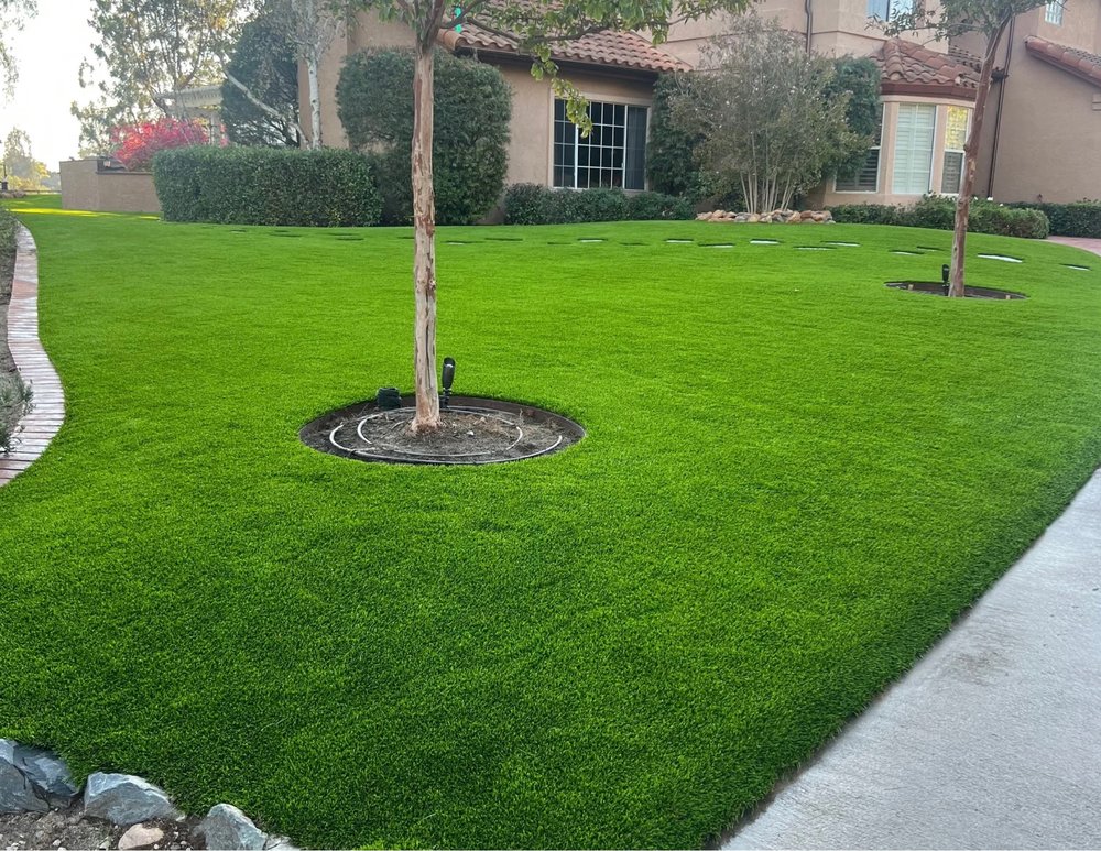 TURF TITANS - Updated August 2025 - 27 Photos - Franklin, Tennessee ...