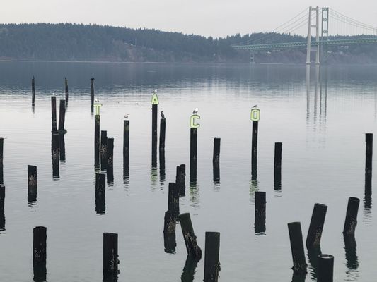 TITLOW BEACH AND PARK - Updated December 2025 - 126 Photos & 40 Reviews ...