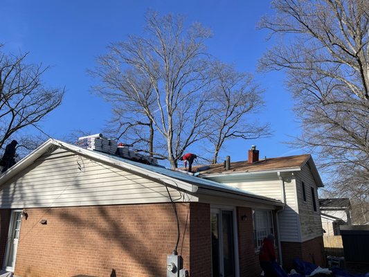 PANDA EXTERIORS - Updated October 2025 - 131 Photos & 34 Reviews ...