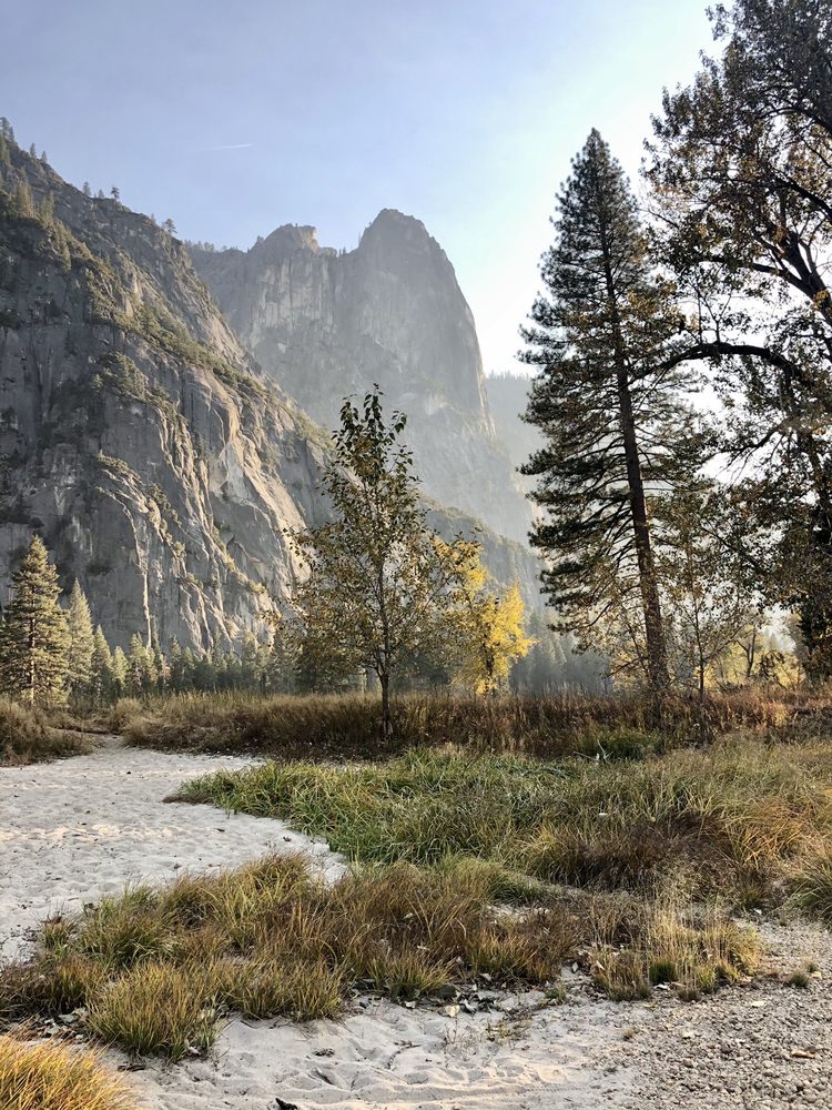 COOK’S MEADOW LOOP - Updated June 2024 - 71 Photos & 10 Reviews - Cook ...