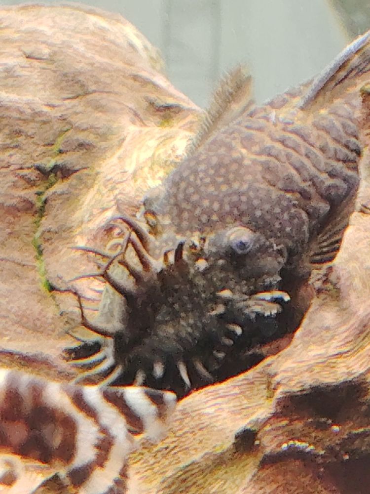 STRICTLY REEF - Updated December 2025 - 122 Photos & 68 Reviews - 907 W ...