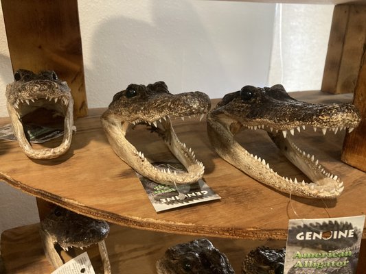 THE CATFISH PLACE - Updated March 2025 - 420 Photos & 386 Reviews ...