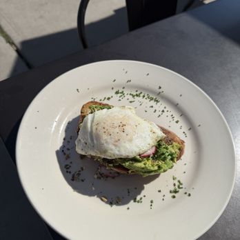 ANTHOS - Updated December 2025 - 417 Photos & 188 Reviews - 3803 Willow ...