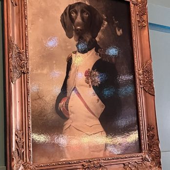 JOYSTIQ - Updated July 2025 - 112 Photos & 101 Reviews - 325 W Main St ...