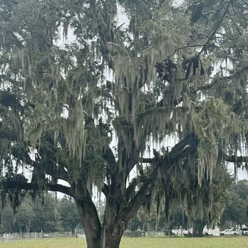 DIAMOND D RANCH - Updated December 2025 - 64 Photos & 22 Reviews - 5903 ...