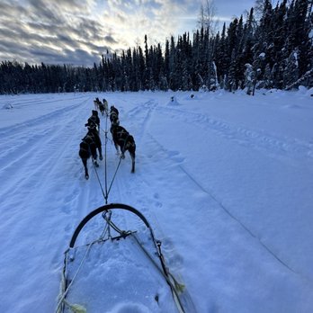 907 TOURS - Updated December 2025 - 87 Photos & 29 Reviews - Anchorage ...