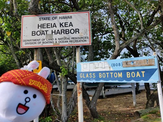 HEEIA KEA SMALL BOAT HARBOR - Updated October 2024 - 101 Photos - 46 ...