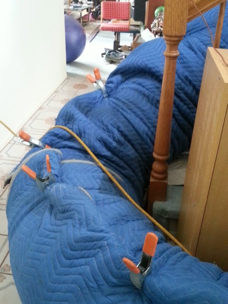 ECOLA TERMITE & PEST CONTROL SERVICES - Updated October 2025 - Newport ...