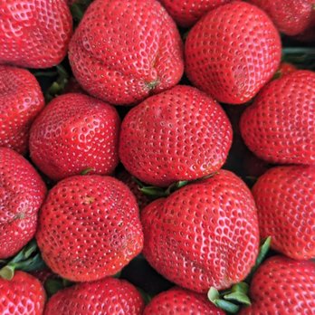 TETO’S PRODUCE - Updated December 2025 - 72 Photos & 26 Reviews - 1531 ...