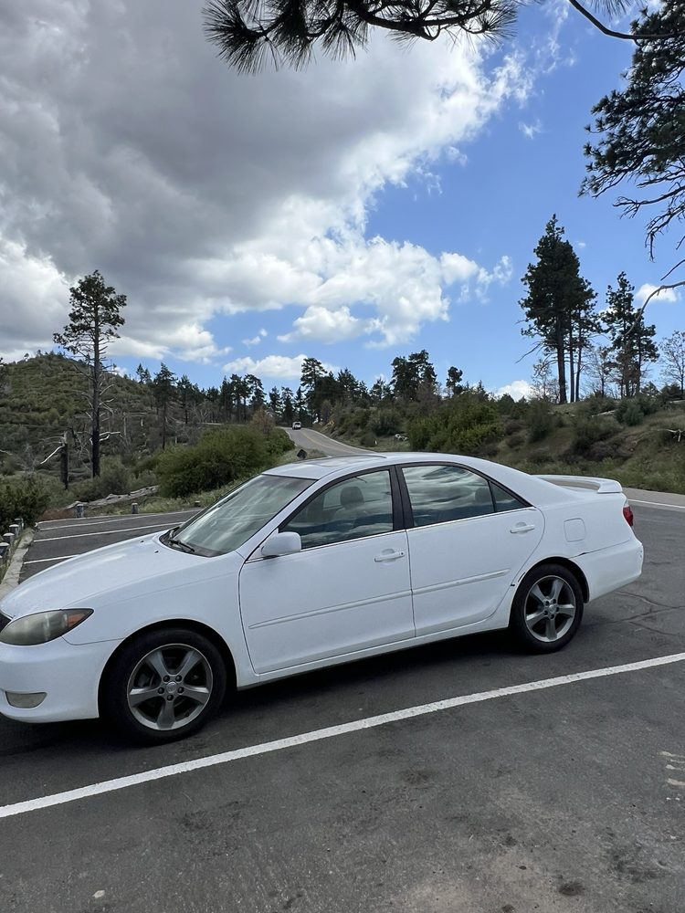 PACIFIC CREST TRAIL AT PENNY PINES - Updated July 2025 - 173 Photos ...