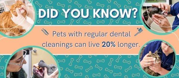 PENDLETON VETERINARY CLINIC - Updated December 2025 - 20 Photos - 625 ...