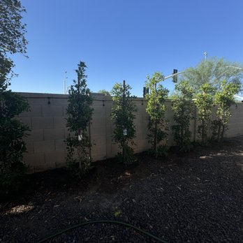 MOON VALLEY NURSERIES - Updated September 2025 - 184 Photos & 140 Reviews - 1828 N 52nd St ...